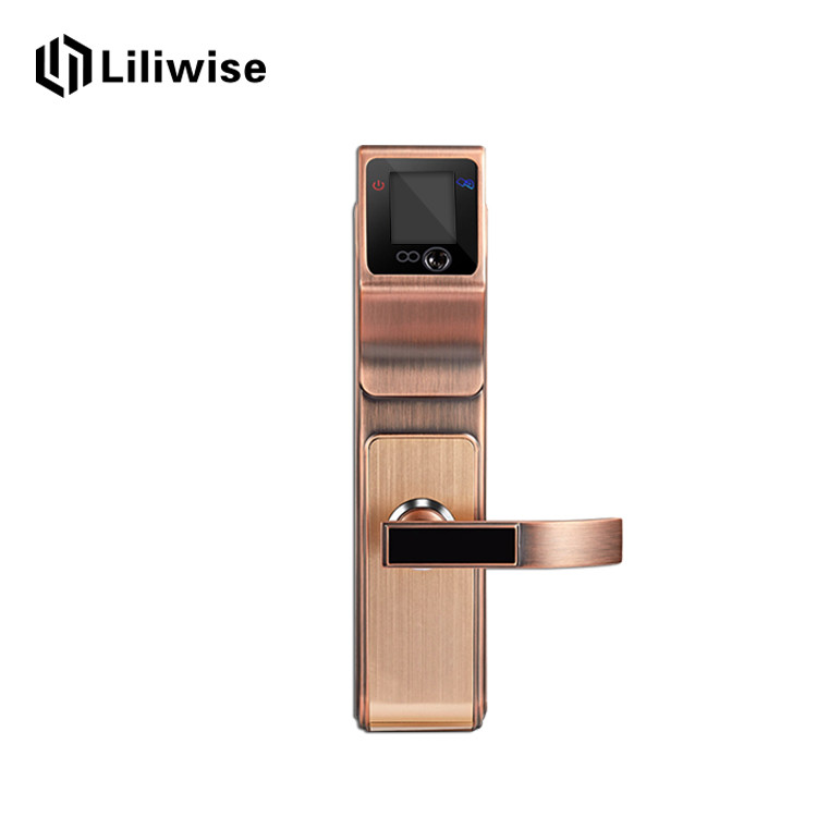 High Security Electronic Digital Door Lock , Smart Face Touch Screen ...