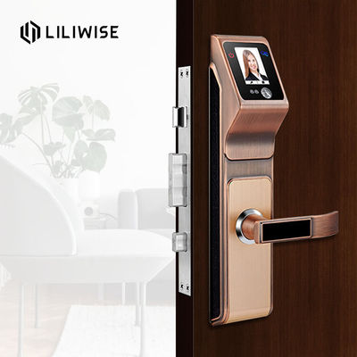 Security Big Panel Fingerprint Zinc Alloy Door Lock IR Face Recognition
