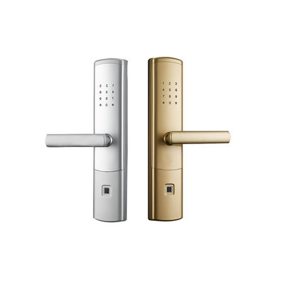 Electronic Fingerprint Magnetic Door Lock Standard Mortise Smart Big Panel
